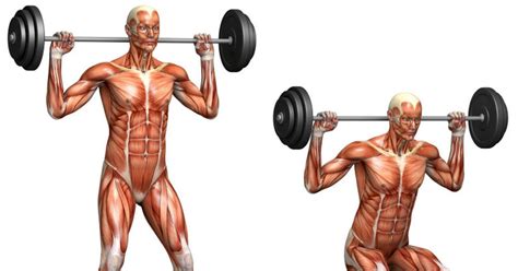 The Basics Of Exercise Science Part 1