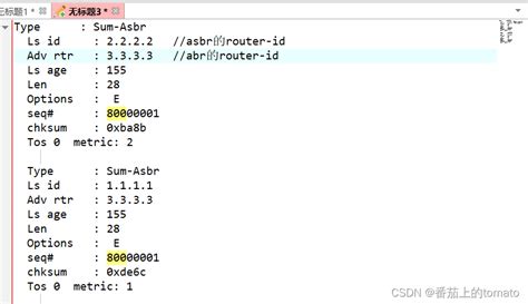 Ospf四类，五类和七类lsa详解4类lsa Csdn博客