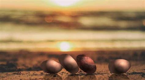 A Wonderfully Calming Rock Stacking Simulator