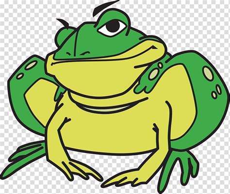 Toad Oracle Database Database Administrator IBM DB2 Others Transparent