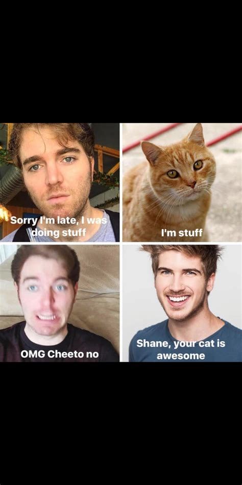 I Didnt Fuck 👉👌 My Cat🙀i Didnt 😿cum 👀on My Cat💨🐈 I Didnt 🦴put My 👅