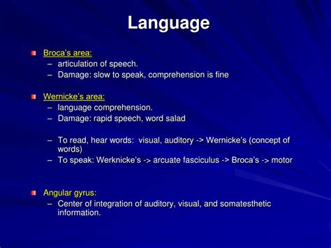 Ppt Cerebral Cortex Intellectual Functions Of The Brain Learning