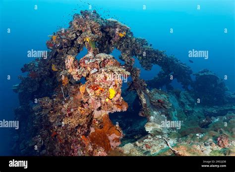 Superstructure Kyokuzan Maru Underwater Wreck Thick Vegetation