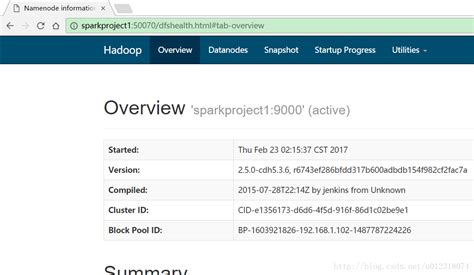 3环境搭建 Hadoop（cdh）集群搭建cdh 检测不到群集 Csdn博客