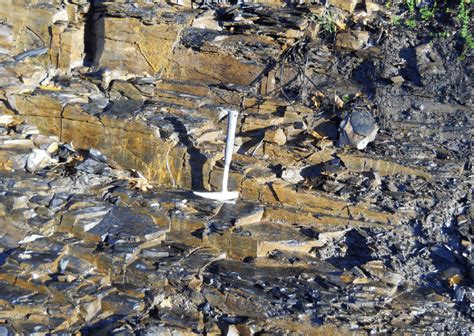Marcellus Shale Type Section Near Marcellus New York Showing Natural Download Scientific