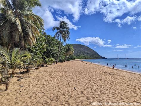 Explore Death In Paradise Filming Locations Up To Season 13