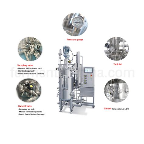 Bioreactor 5 Powerful Insights Into How It Works