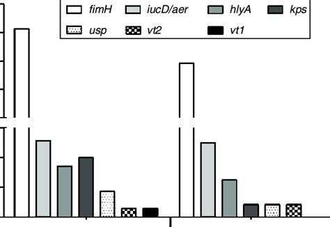 Prevalence Of Virulence Factor Genes In Escherichia Coli Isolated From