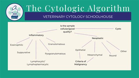 Download The Cytologic Algorithm Scope Side Printable
