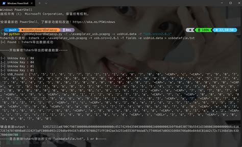 Ctf Ctf中我的usb键盘鼠标流量解密指南和脚本