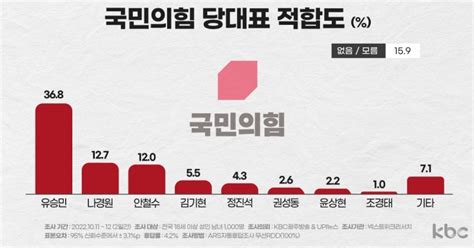 여론조사 국민의힘 차기 당대표 유승민 8주 연속 1위
