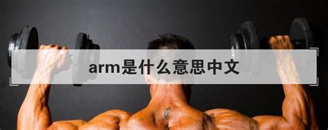 arm是什么意思中文 酷知科普