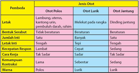 Mengenal Lebih Dekat Jenis Jenis Otot Biologi Edukasi Belajar Sains