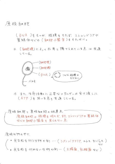 【生物の多様性と共通性】 ママ塾ノート