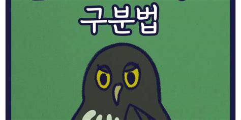 올빼미와 부엉이 구분법 포스타입 포스트