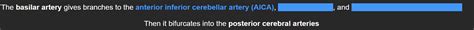 Show All Cloze Deletions At Same Time Using Anking Ranki
