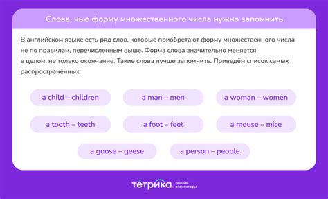 Множественное число существительных в английском — Блог Тетрики