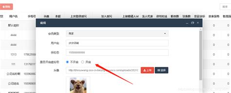 php对接阿里云虚拟号 号码隐私保护 aliyun dypls php sdk csdn博客
