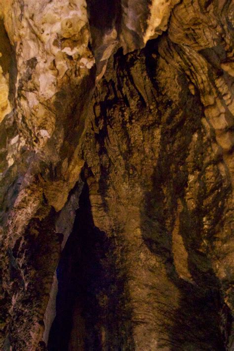 Fossil Hominid Sites Of South Africa Sterkfontein Swartkrans Kromdraai
