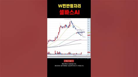 셀바스 Ai 주가 전망 반등 자리 Youtube