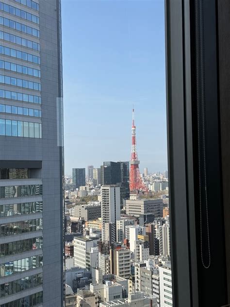 東京にいます またたび日記Boston
