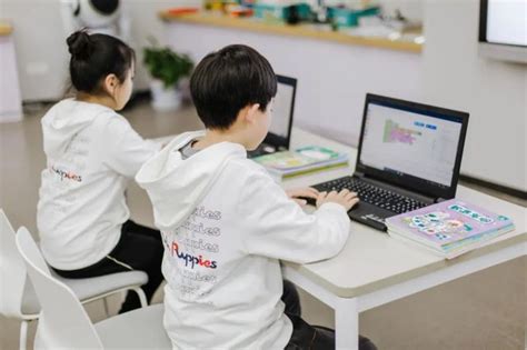 中小学人工智能教育教什么？怎么教？一起听听北师大教育学部副教授卢宇怎么说！ 行业资讯 中小学人工智能实训室中小学人工智能课程人工智能实验室