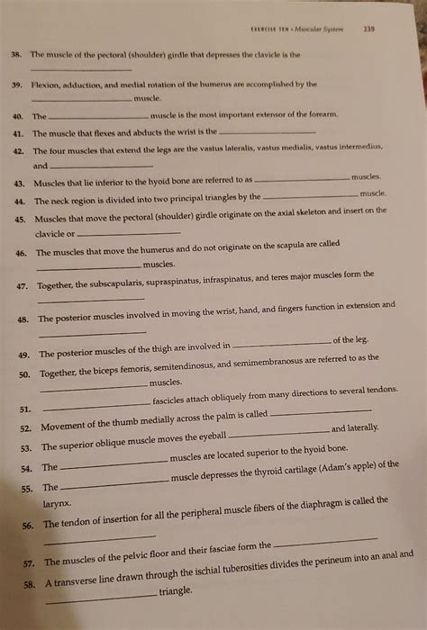 solved ercise 10 muscular system name date laboratory