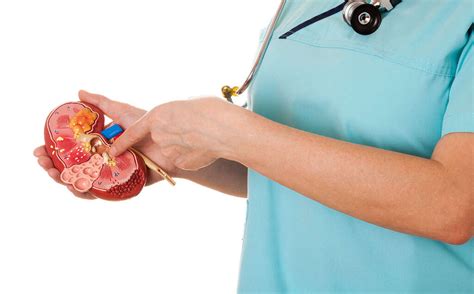 Hydronephrosis 10 Symptoms Of Hydronephrosis