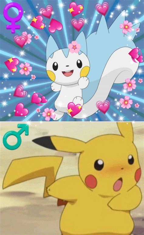 Pachirisu X Pikachu By Veru23 On Deviantart