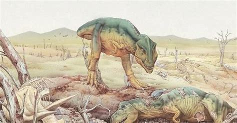 On Sait Enfin Pourquoi Les Dinosaures Ont Disparu Le Point
