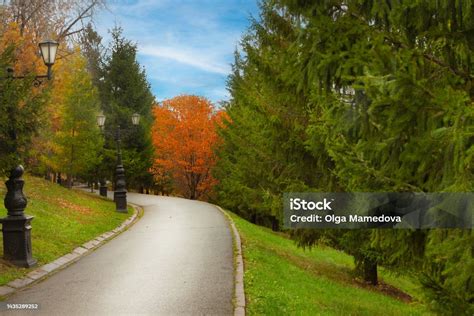 가을 숲에 길이 있는 아름다운 풍경 사람이없는 빈 공원 화려한 밝은 나무 잎입니다 침엽수 림과 낙엽수 가을 숲을 통과하는 길 0명에 대한 스톡 사진 및 기타 이미지 Istock