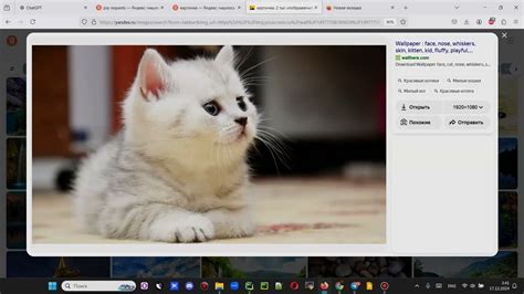 Как Cкачать Любой Файл из Интернета на Python Youtube