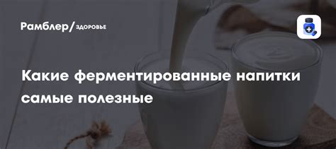 Квас, айран и комбуча: какие ферментированные напитки самые полезные ...