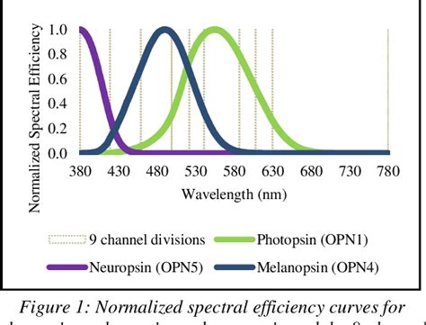 Figure 1 From Multispectral Lighting Simulation Approaches For Predicting Opsin Driven Metrics