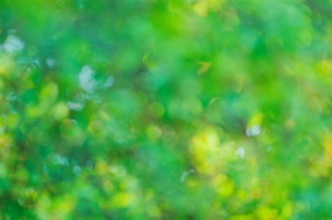 개요 녹색 Bokeh 배경입니다 여름 햇빛 자연 Bokeh 0명에 대한 스톡 사진 및 기타 이미지 0명 개념 계절