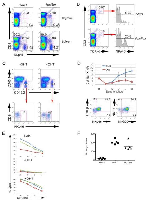 Reprogramming Of T Cells To Natural Killerlike Cells Upon Bcl11b