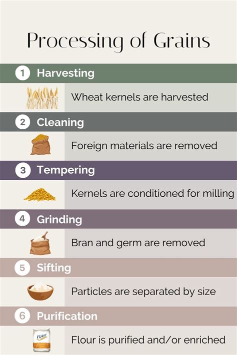 Whole Grains Vs Refined Grains Which Is Healthier Stephanie Kay