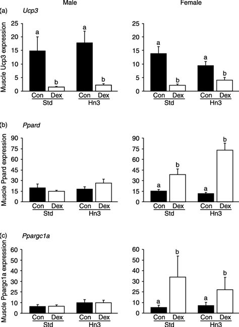 Skeletal Muscle A Ucp3 B Ppard And C Ppargc1a Mrna Expression