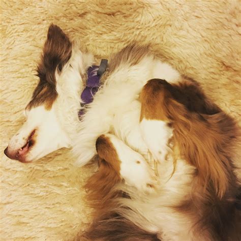 A Bit About Me — Ali Benjamin