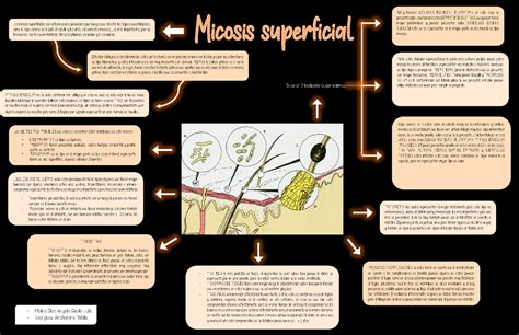 Mapa Conceptual Micosis Y Parasitosis Referencias Mur