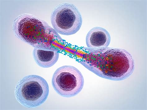 多发性骨髓瘤是癌症还是血液病 多发性骨髓瘤 骨髓瘤 肿瘤疾病大全 癌症肿瘤科普知识 有来医生