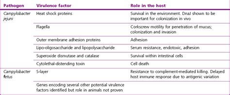Campylobacter Arcobacter And Helicobacter Species Veterian Key