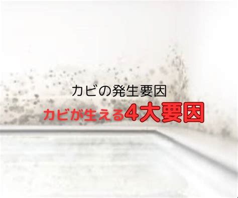 カビの発生要因とは？ カビが生える4大原因 Ie Pikaのブログ