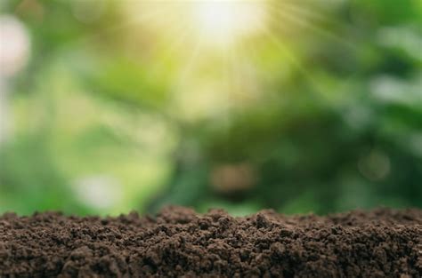 Soil Ppt Background