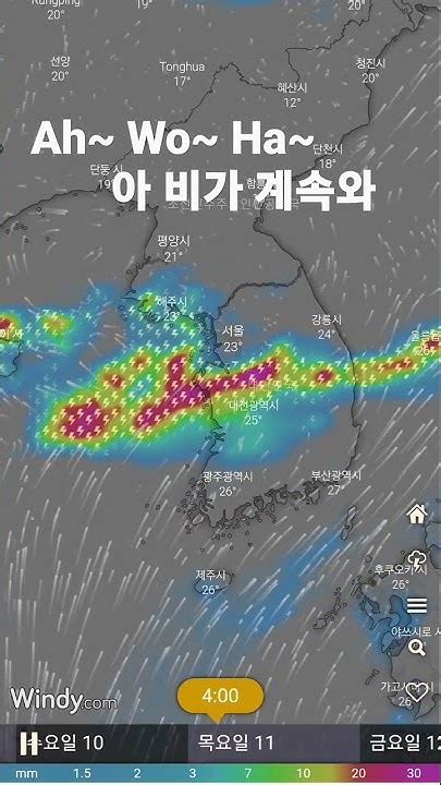 어제의 비는 워밍업ㅠ 오늘부터 더 큰비가 기다린다 비 일기예보 더큰비 Youtube