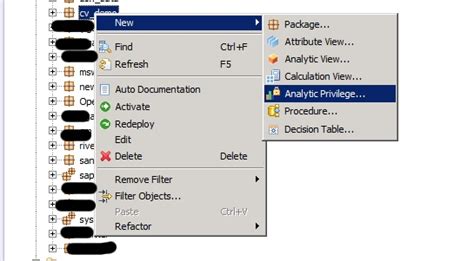 Restricting Access To Views In Sap Hana For Sap Lu Sap Community