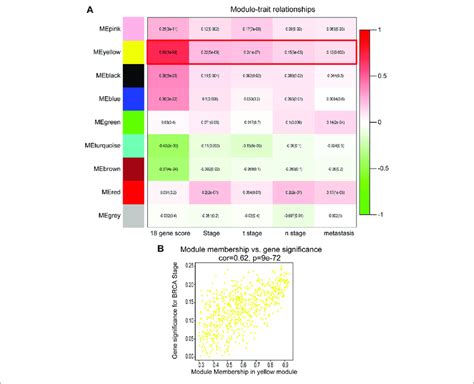 Identification Of Modules Correlated With The Clinical Traits Of
