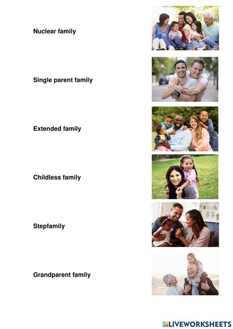 Types Of Families Exercise For 4eso Teacher Planning Work Activities Teacher Worksheets