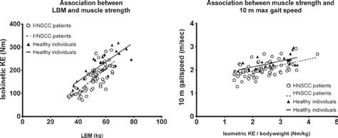 Associations Between Lean Body Mass Muscle Strength And Functional