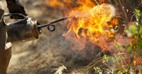 Prescribed Burn Georgia Forestry Commission